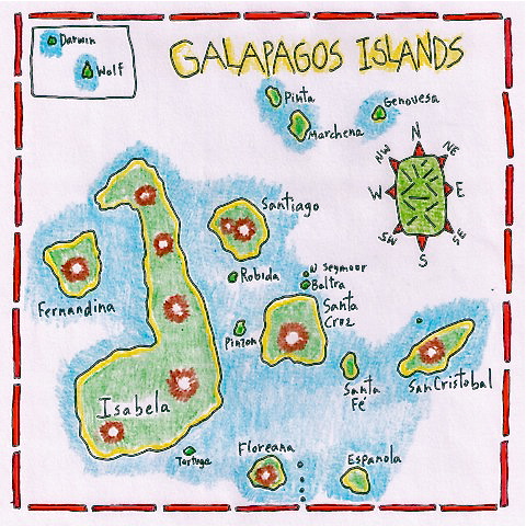 Galapagos: new species of giant tortoise! - Maps for the Classroom