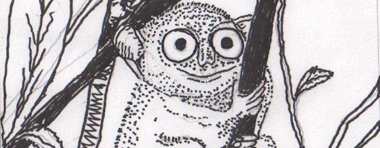 Philippine Tarsier... shy tree dweller! - Maps for the Classroom