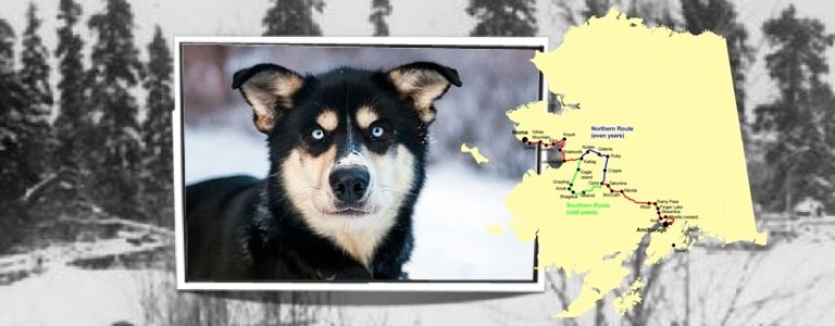 Iditarod Heroes: the Dogs who Race Across Alaska - Maps for the Classroom